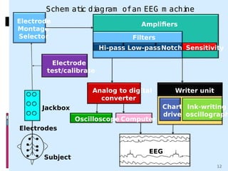 Eeg | PDF