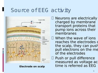 Eeg | PDF