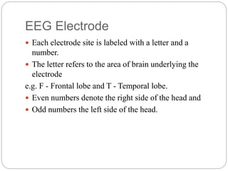 EEG.pptx