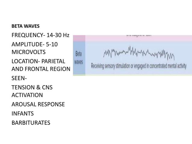 PHYSIOLOGY OF EEG AND ITS APPLIED ASPECT.pptx | Brain and Nervous ...