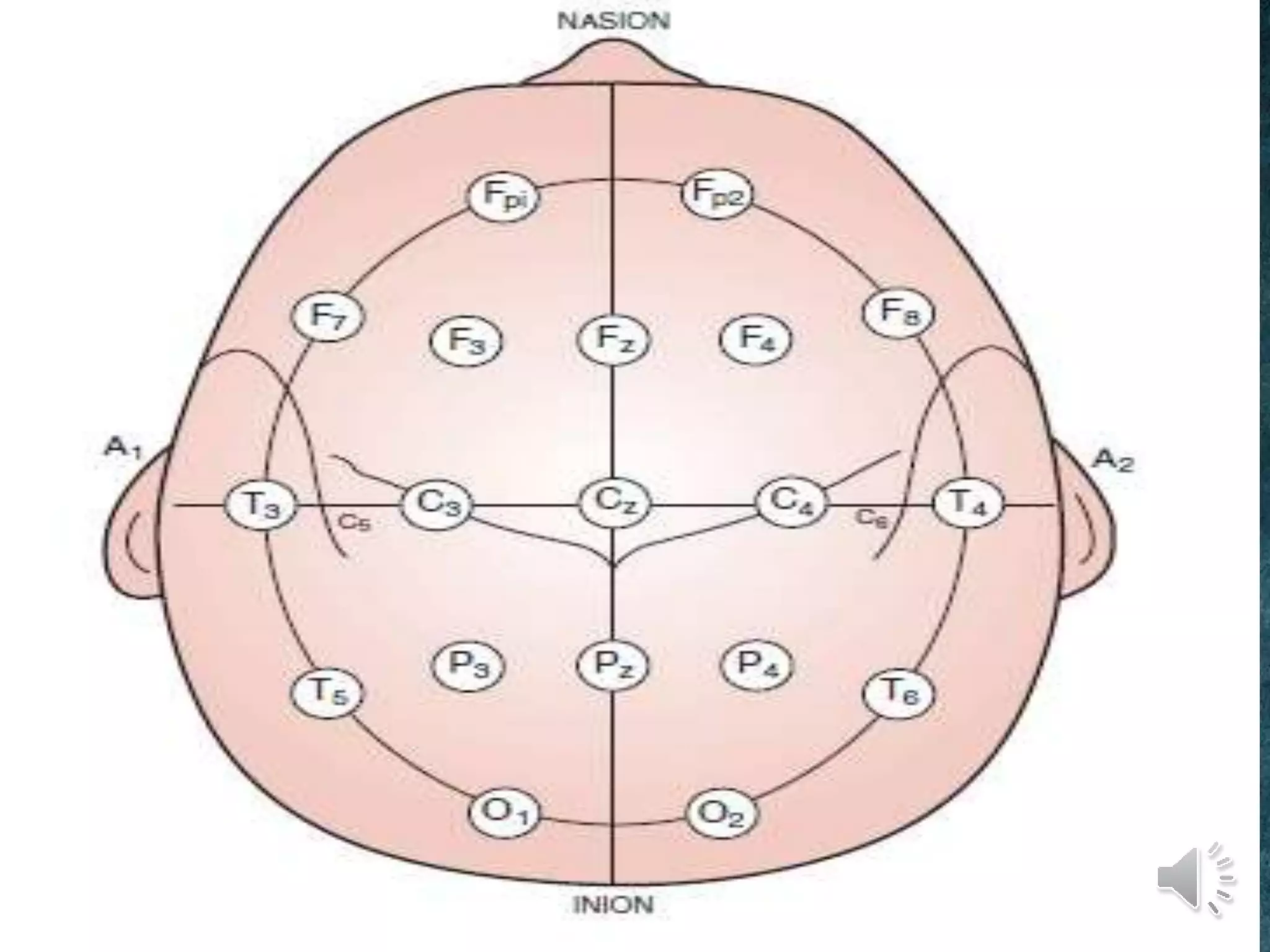 EEG basic to practice 1 | PPTX