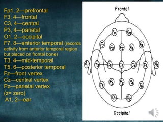 EEG basic to practice 1 | PPT