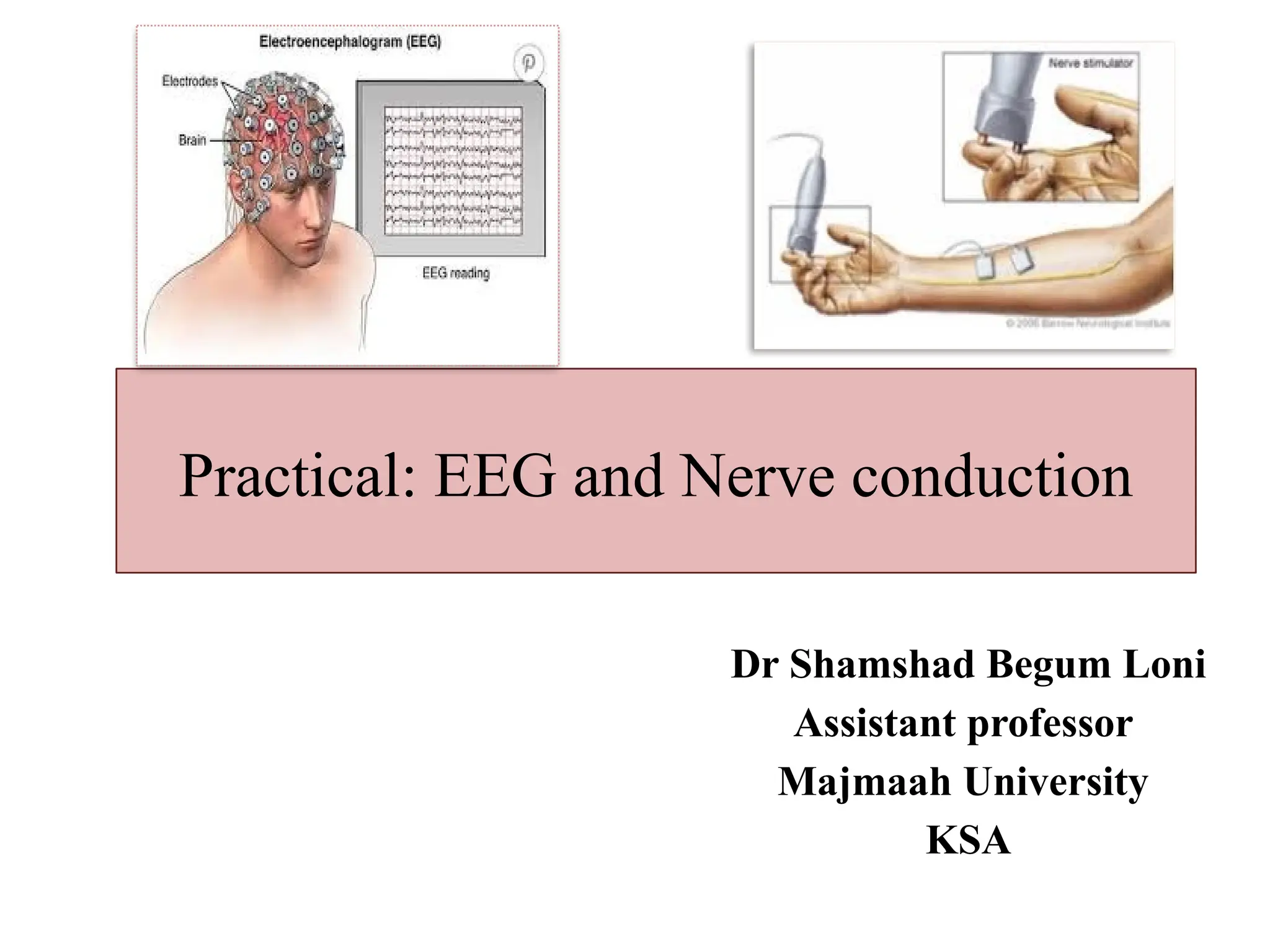 Practical: EEG and EMG nerve conduction. | PPTX