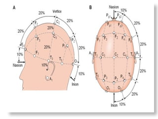 Practical: EEG and EMG nerve conduction. | PPTX