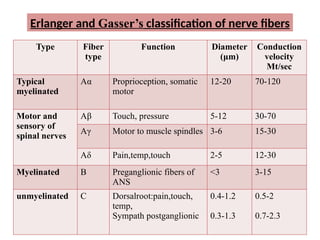 Practical: EEG and EMG nerve conduction. | PPTX