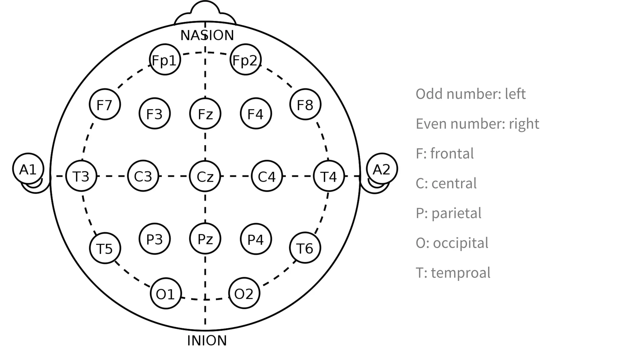 Introduction to seizure, epilepsy and EEG | PDF