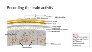 EEG basics for mental health professionals | PPT