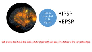 EEG basics for mental health professionals | PPT