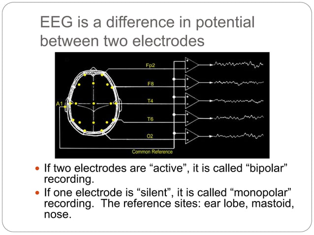 EEG_circuit.ppt