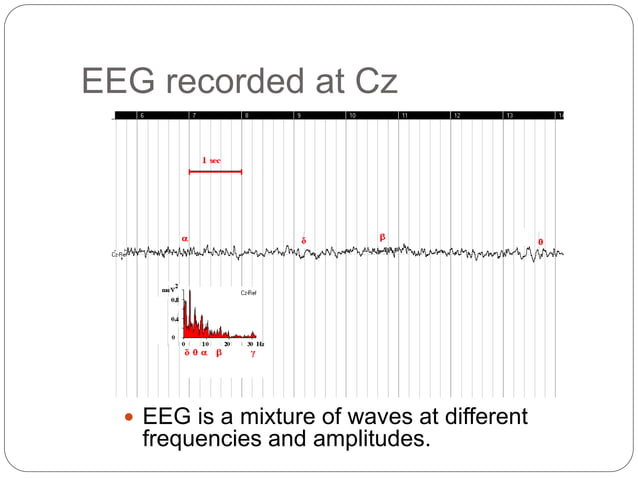 EEG_circuit.ppt | Digital Audio | Computer Software and Applications