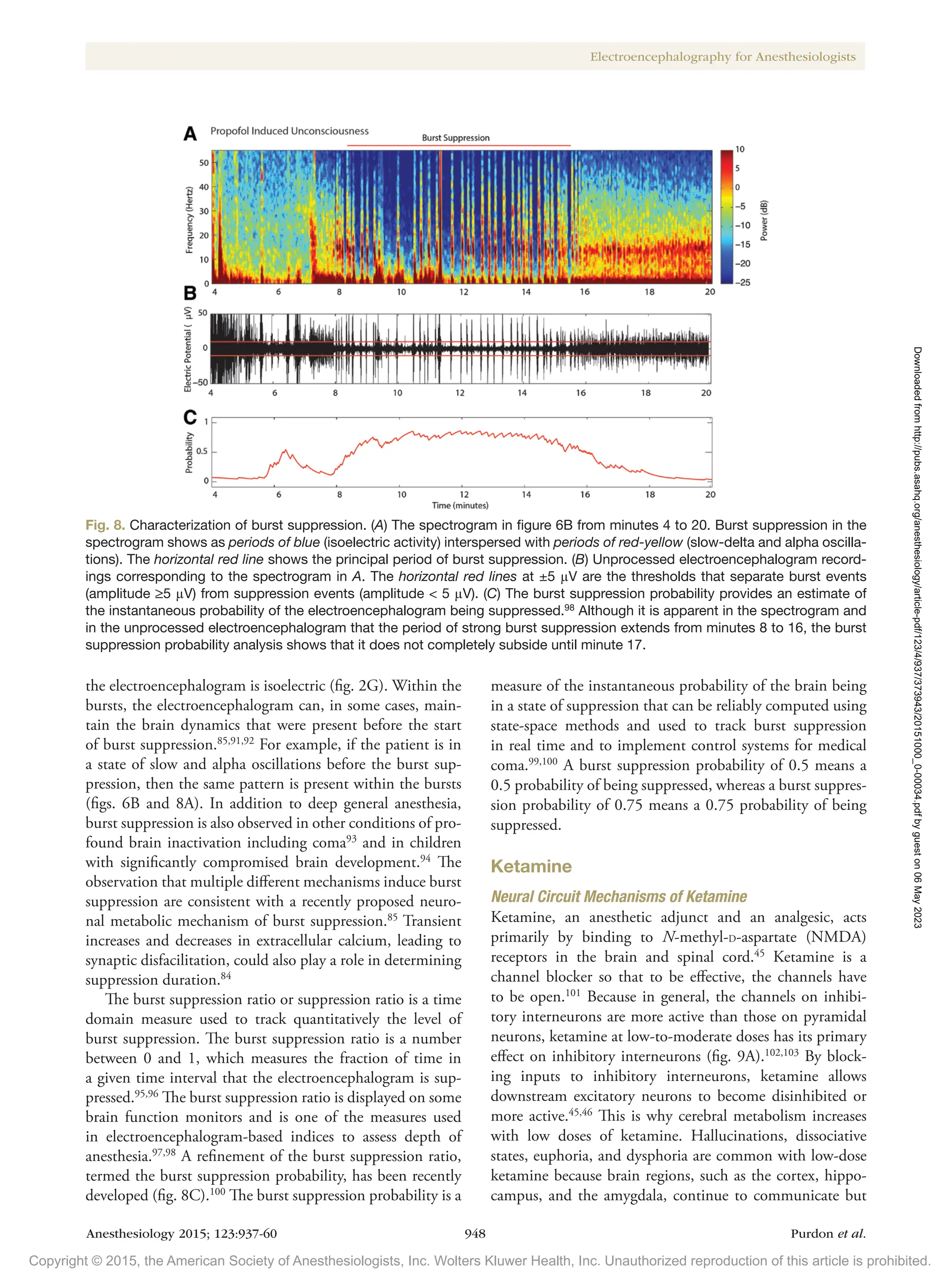 eeg clinca para anes ingles.pdf
