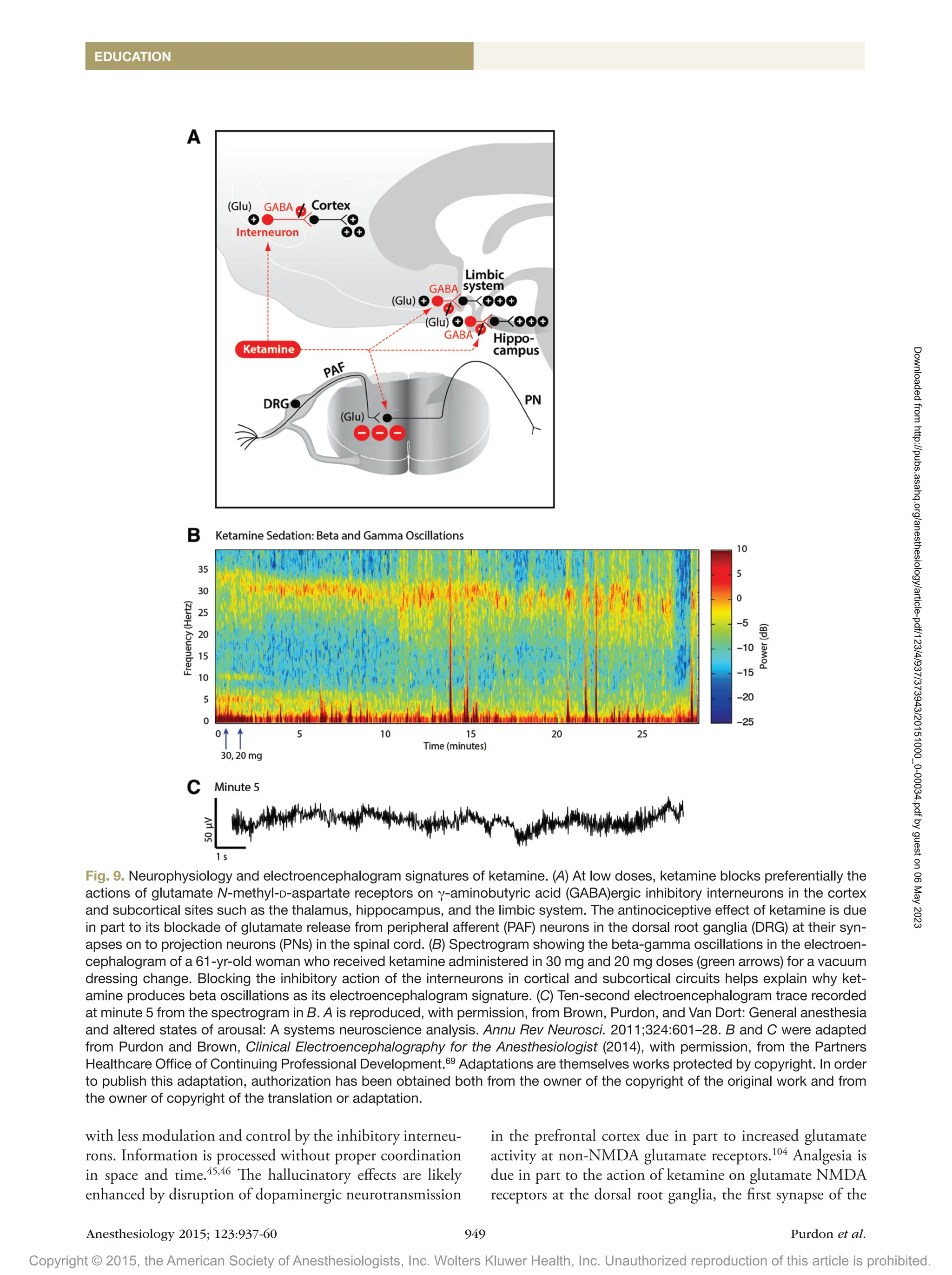 eeg clinca para anes ingles.pdf