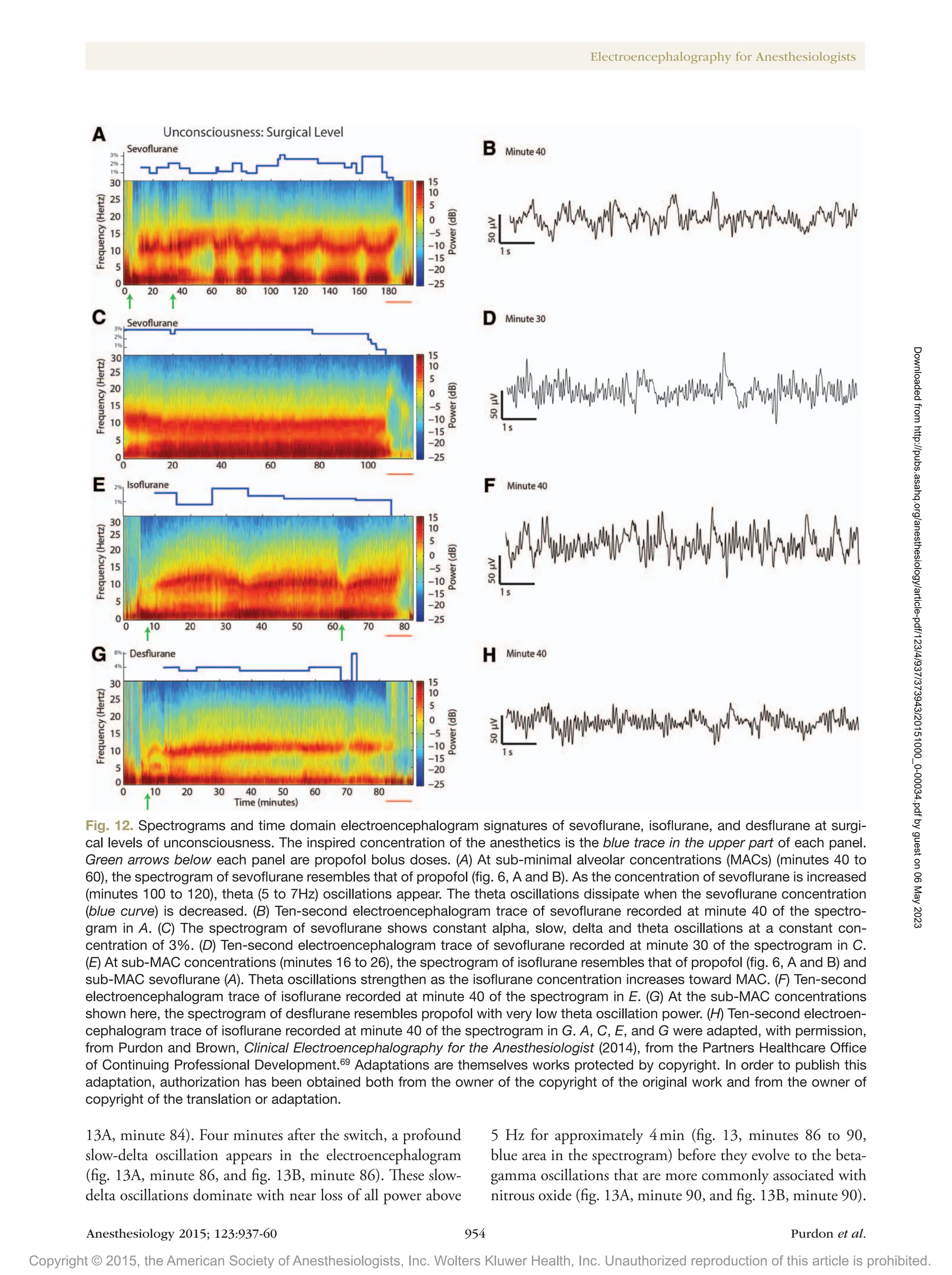 eeg clinca para anes ingles.pdf
