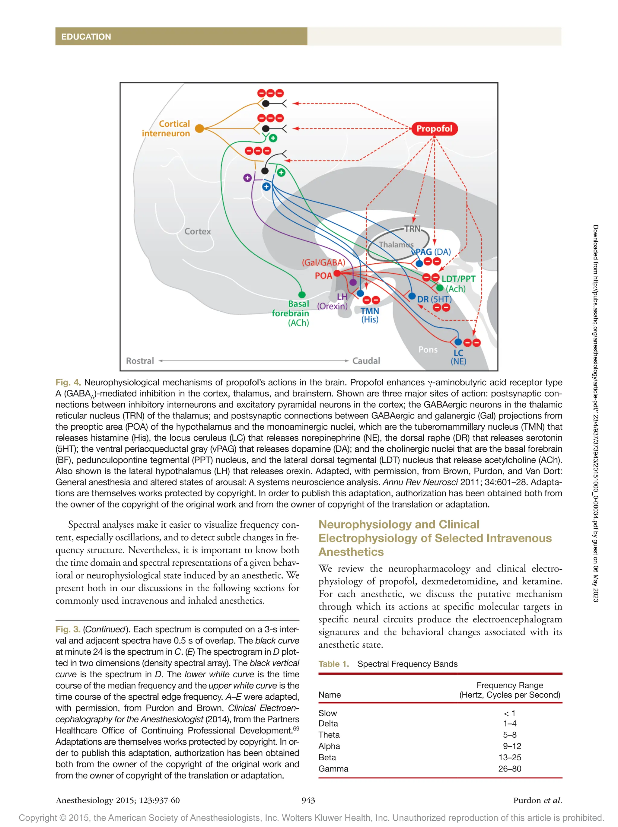 eeg clinca para anes ingles.pdf