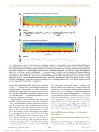 eeg clinca para anes ingles.pdf