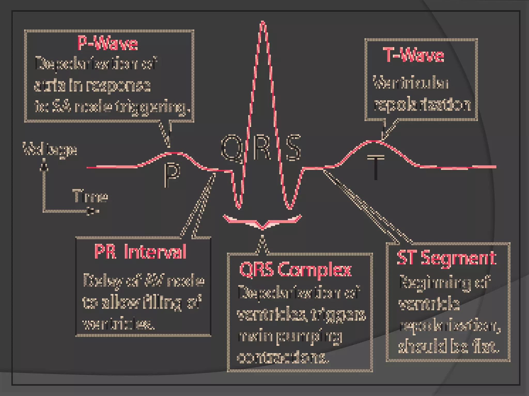 Eeg & ecg | PPTX