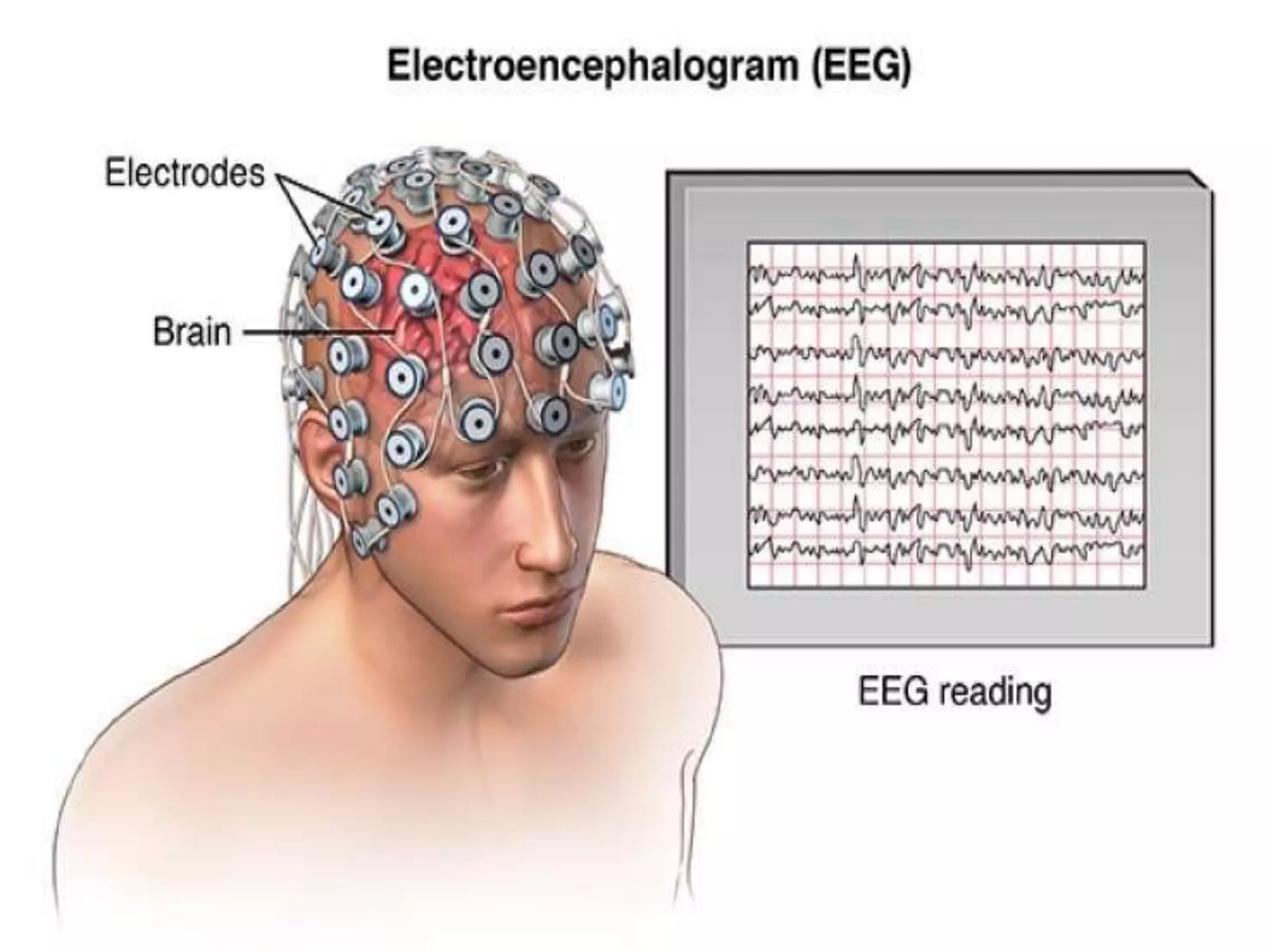 Eeg & ecg | PPTX