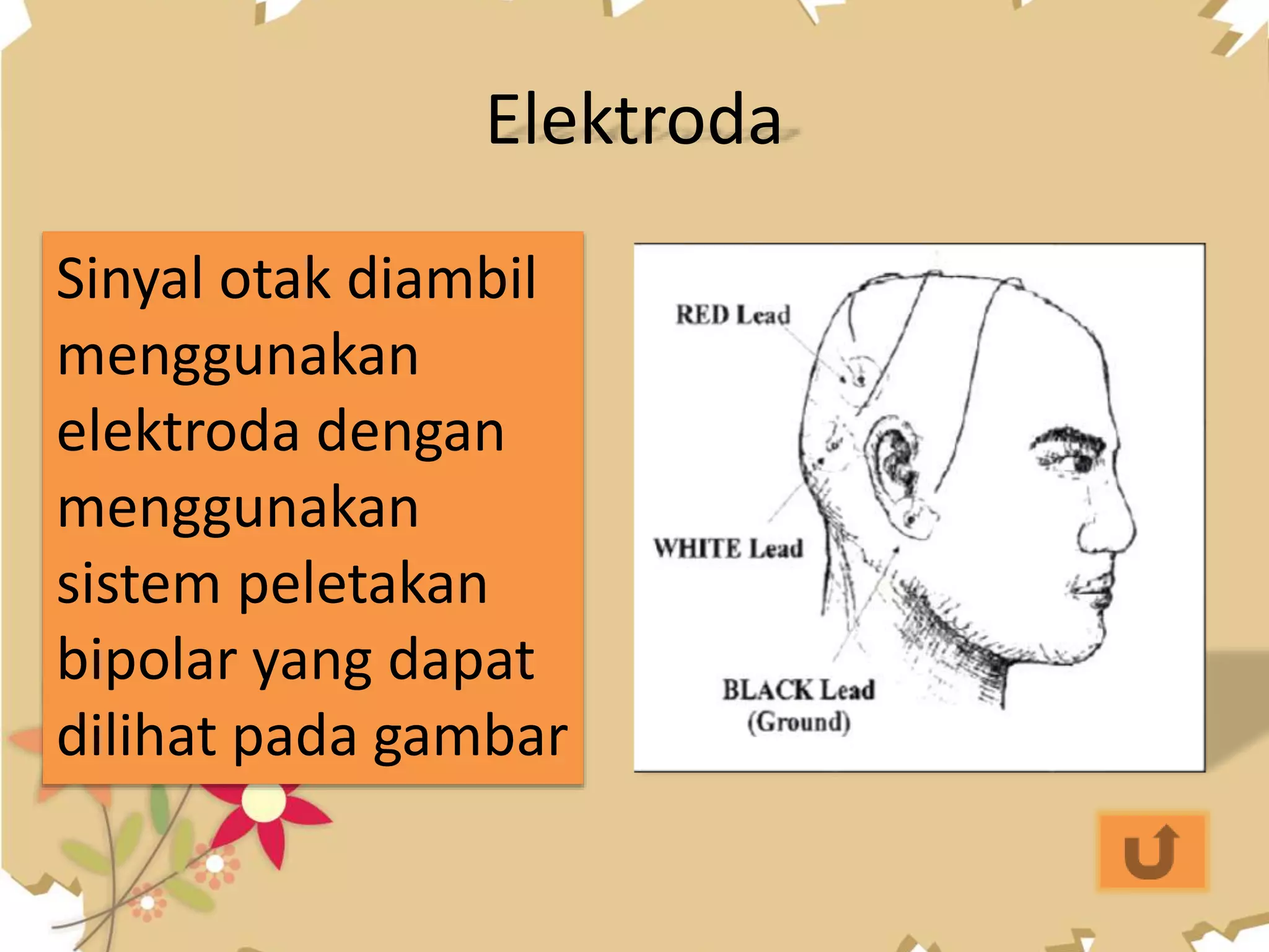 Eeg (electroencephalograph) | PPTX