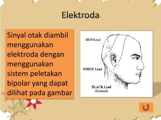 Eeg (electroencephalograph) | PPTX