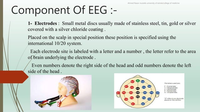 EEG (electroencephalogram) | PPTX | Brain and Nervous System Disorders | Diseases and Conditions