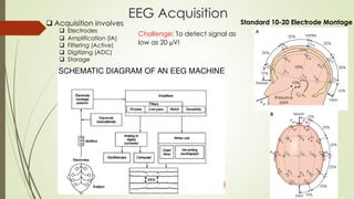 EEG guest lecture_iub_eee541 | PPT