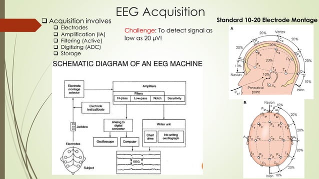 EEG guest lecture_iub_eee541 | PPT