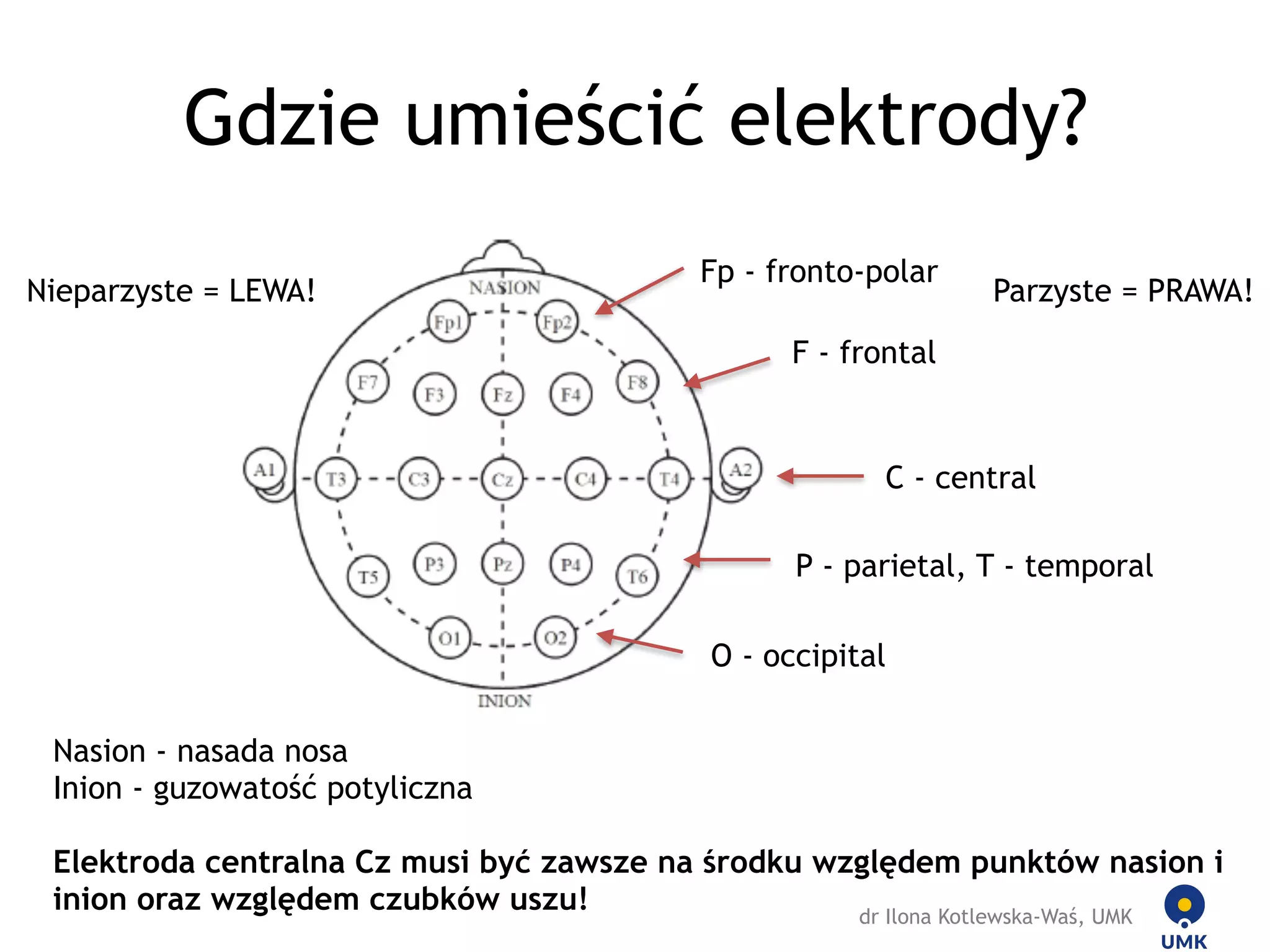 Elektroencefalografia (badania EEG) | PDF