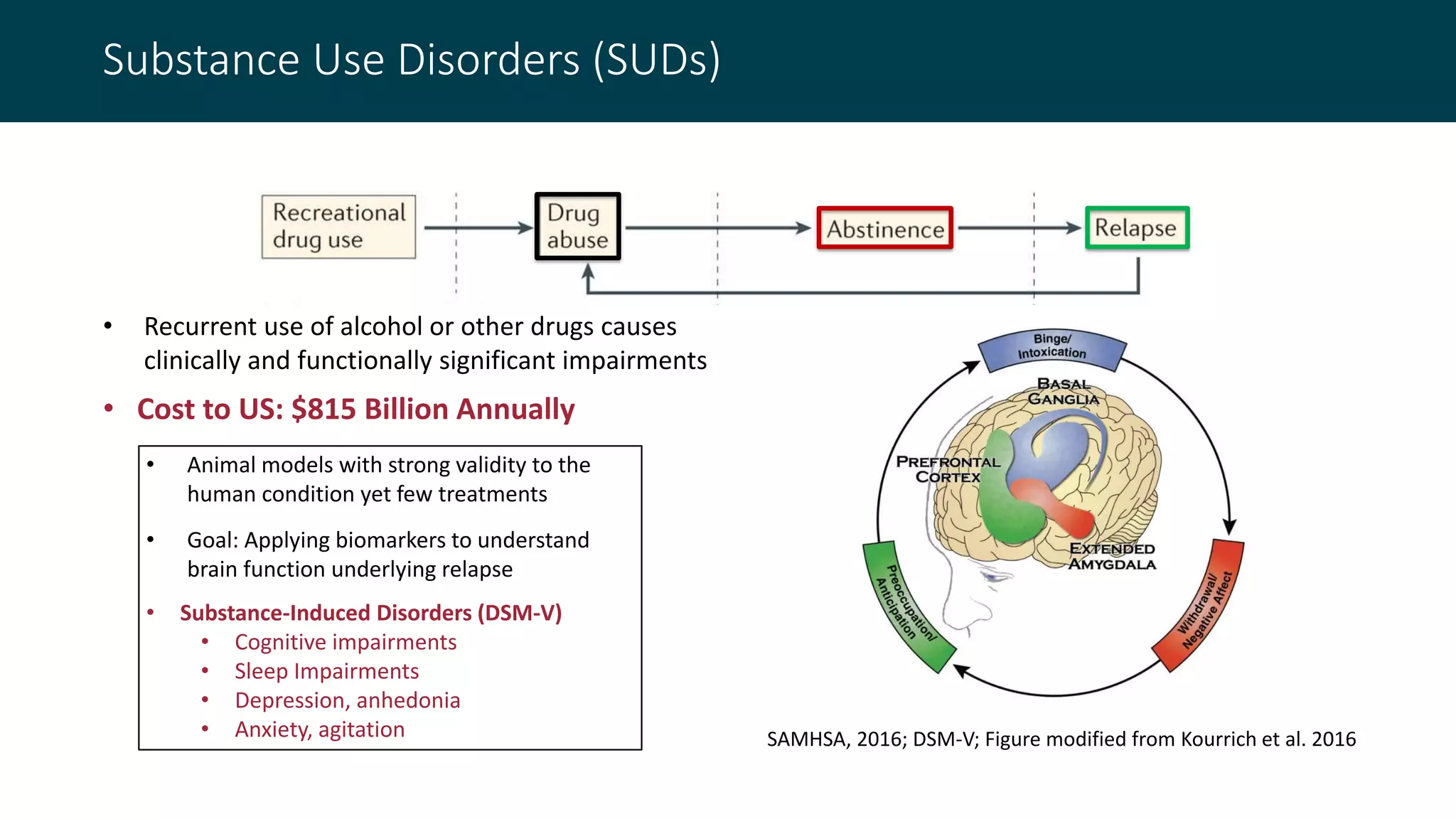Harnessing Eeg Methods To Improve Basic And Translational Research For