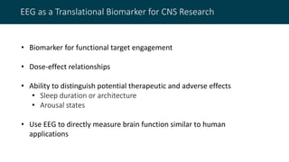 Harnessing EEG Methods to Improve Basic and Translational Research for ...