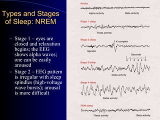 Eeg normal inglish | PPT