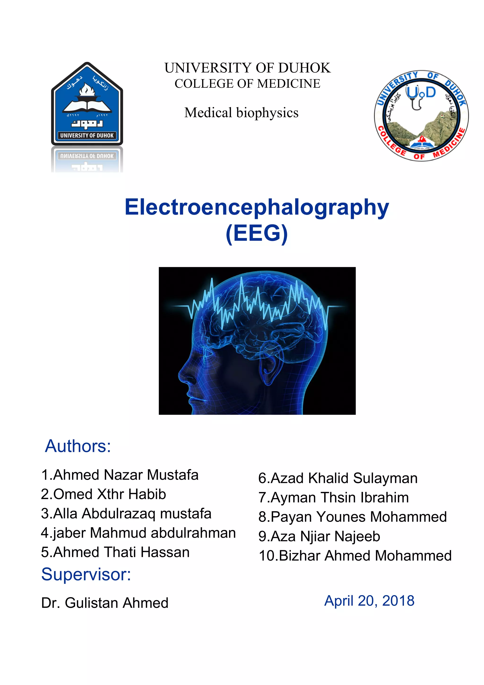 Electroencephalogram (EEG) | PDF