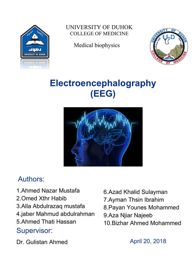 Electroencephalogram (EEG) | PDF