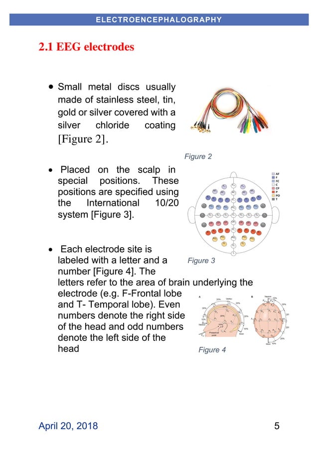 Electroencephalogram (EEG) | PDF