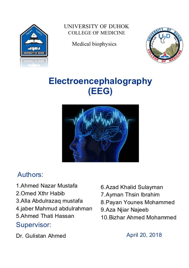 Electroencephalogram Eeg