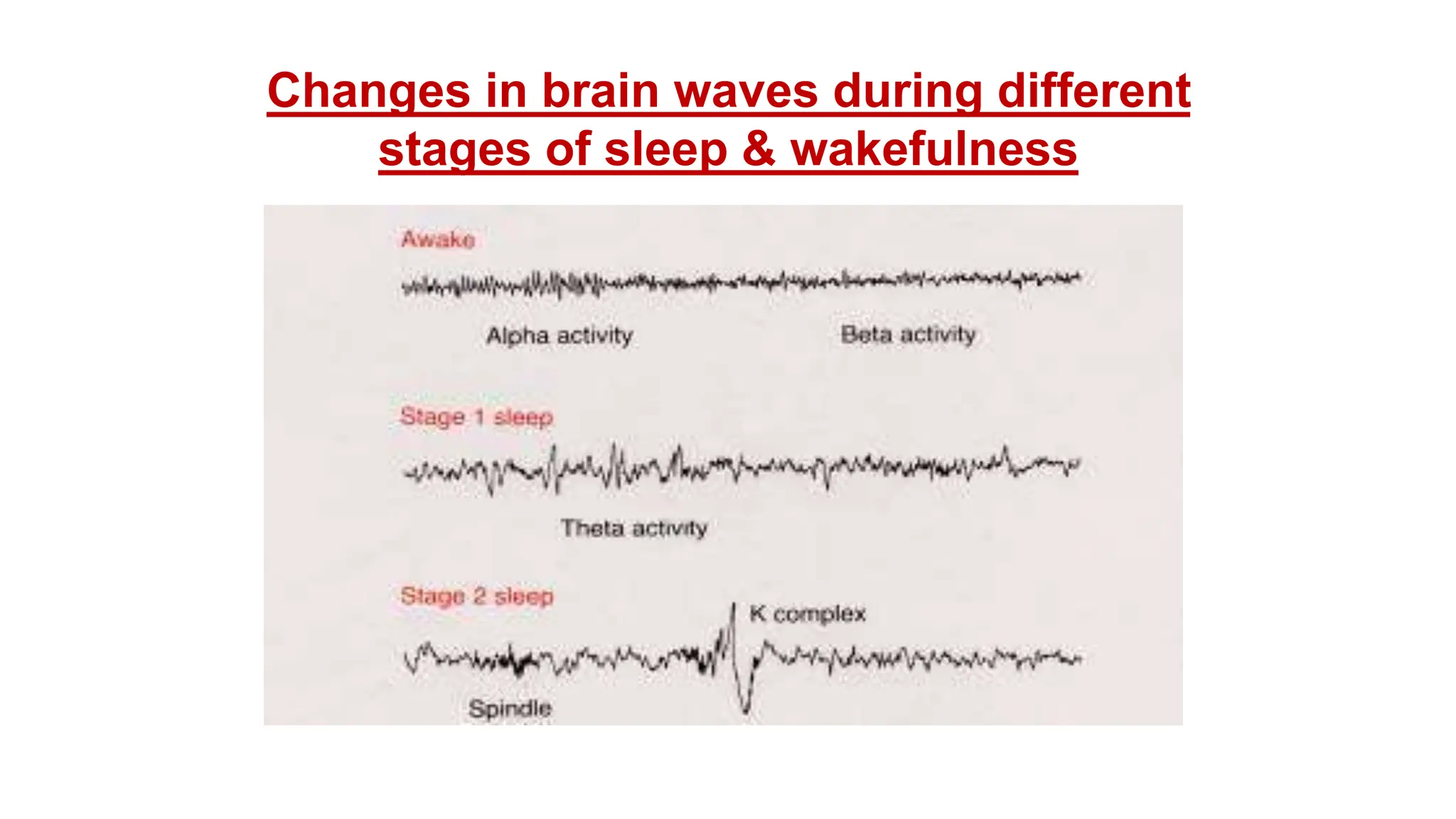 eeg ppt defining all aspects of eeg and various type of waves seen in ...