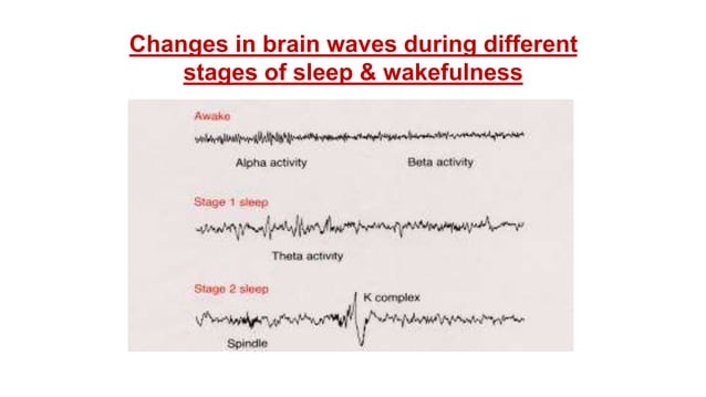 eeg ppt defining all aspects of eeg and various type of waves seen in ...