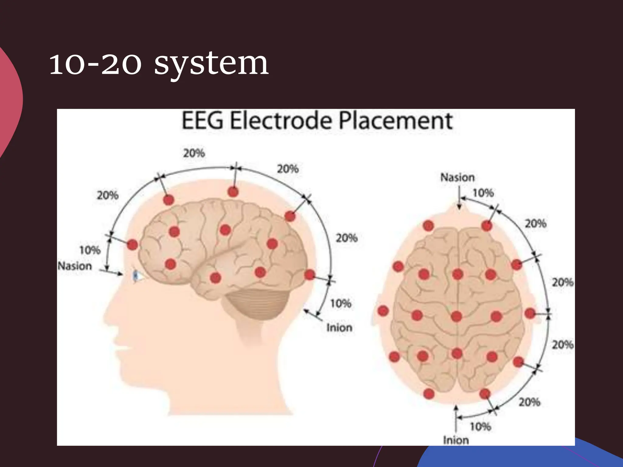 Eeg Signal Processing And Application To Neurofeedback Operant Conditioning Brain And