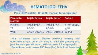 EEHV dan Transfusi Plasma Gajah.pptx