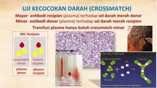 EEHV dan Transfusi Plasma Gajah.pptx