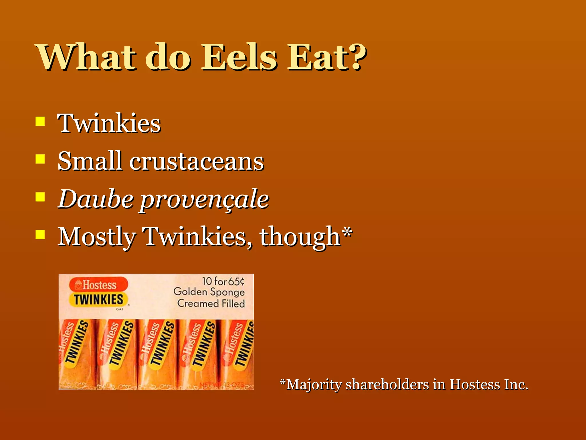 The Truth About Eels | PPT