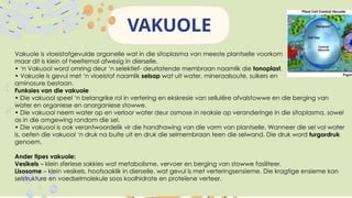 LEWENSWETENSKAP GRAAD 10. EENHEID 2 - SELLE.pptx