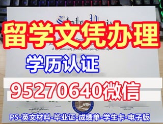 USYD毕业证 | PDF