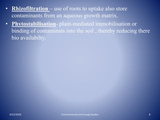 Phytoremediation | PPT