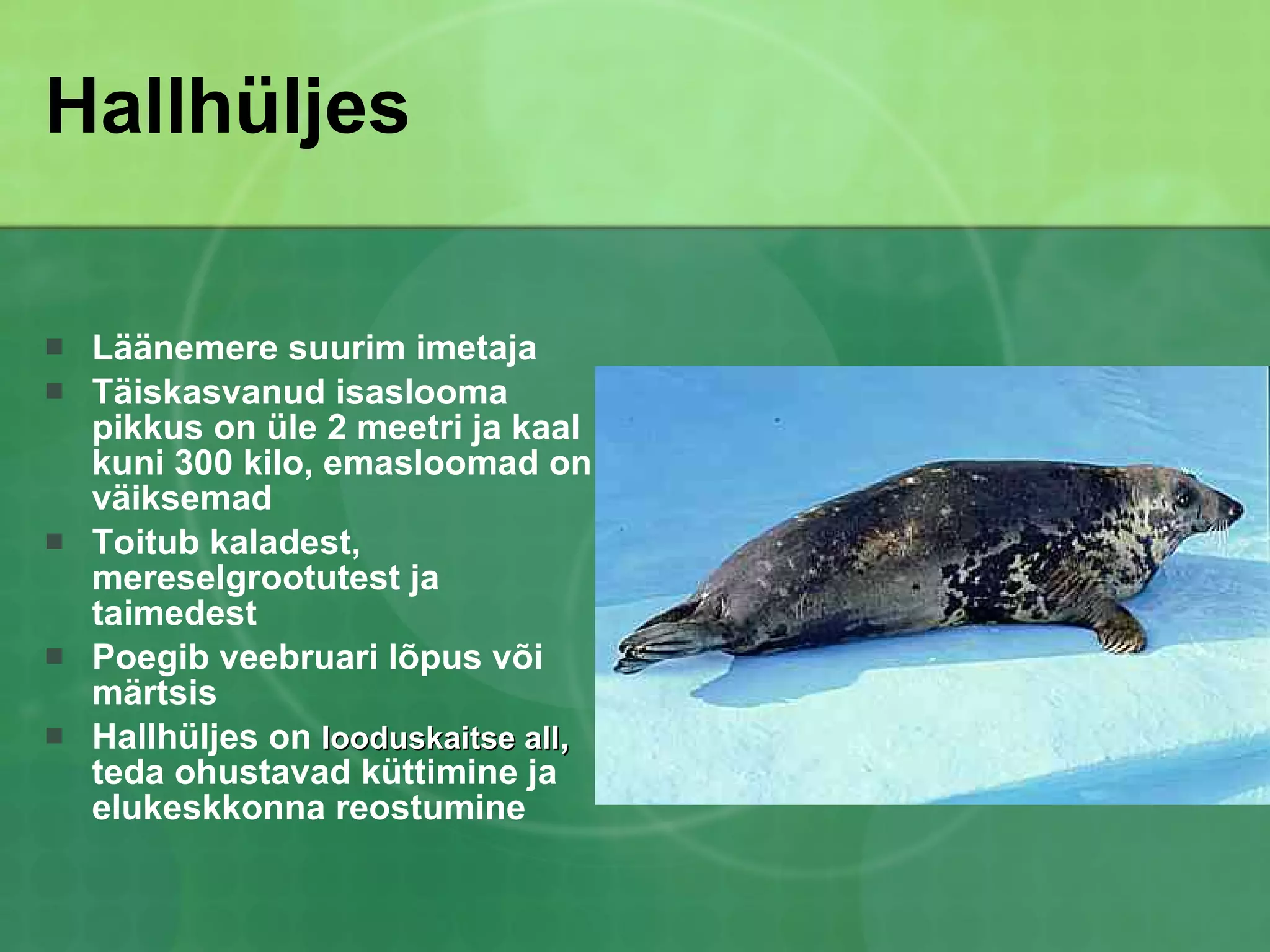 Eesti Imetajad | PPT