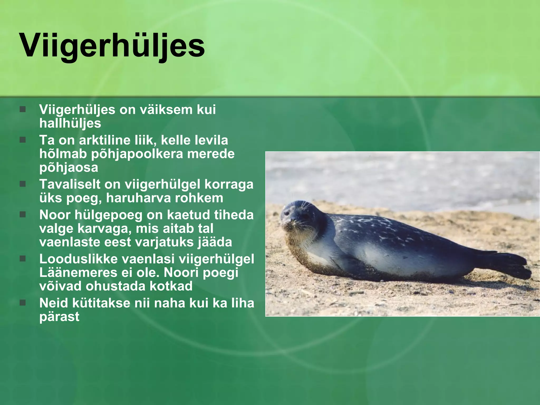 Eesti Imetajad | PPT