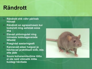 Eesti Imetajad | PPT