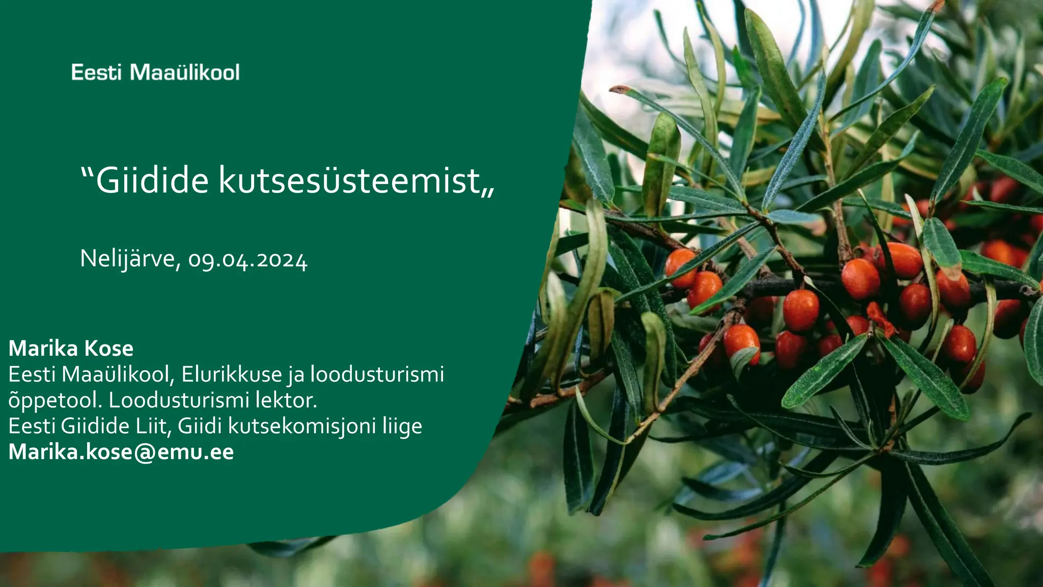 Eesti Giidide Liit_Marika Kose_Giidi kutse_strateegiapaev_090424.pptx