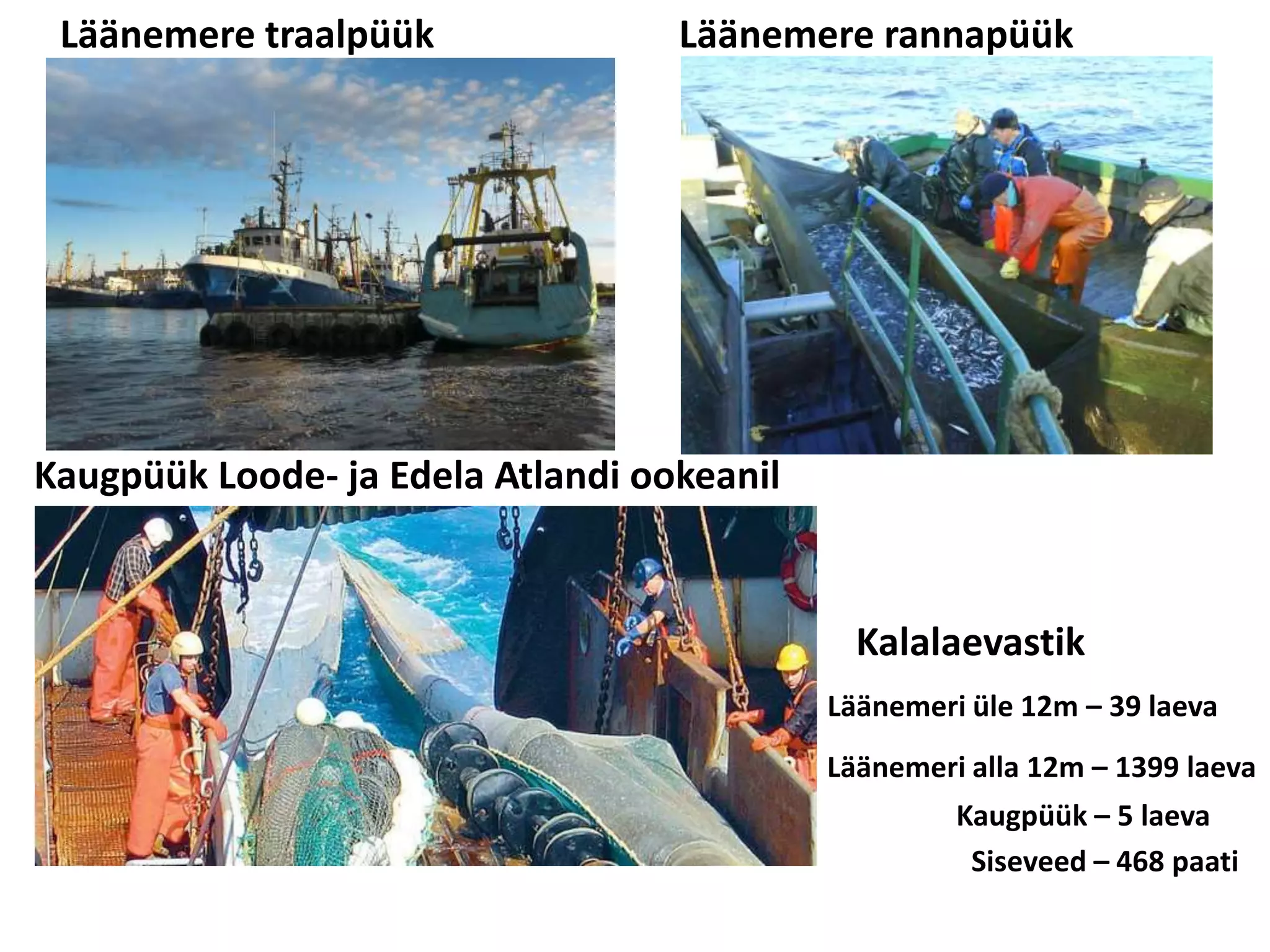 Eesti kalandus 2014 | PPTX