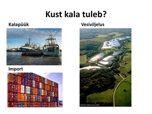 Eesti kalandus 2014 | PPT