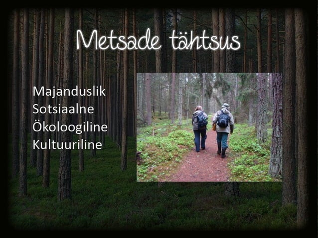 Eesti metsandus | PPT